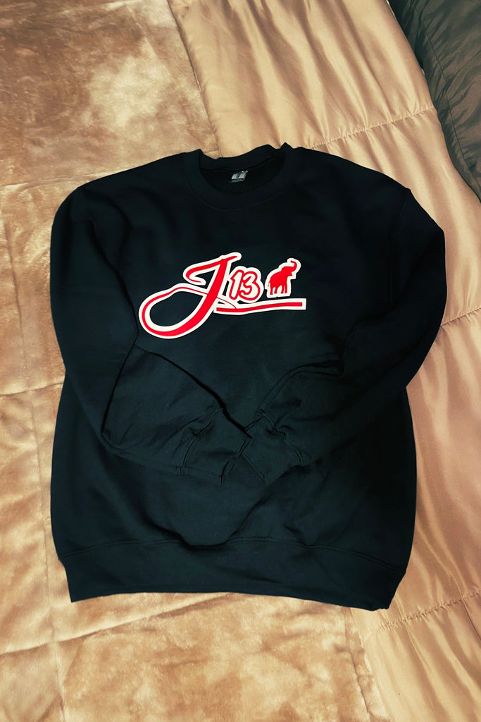 Delta Sigma Theta J13 v3 Sweatshirt | 550strong LLC